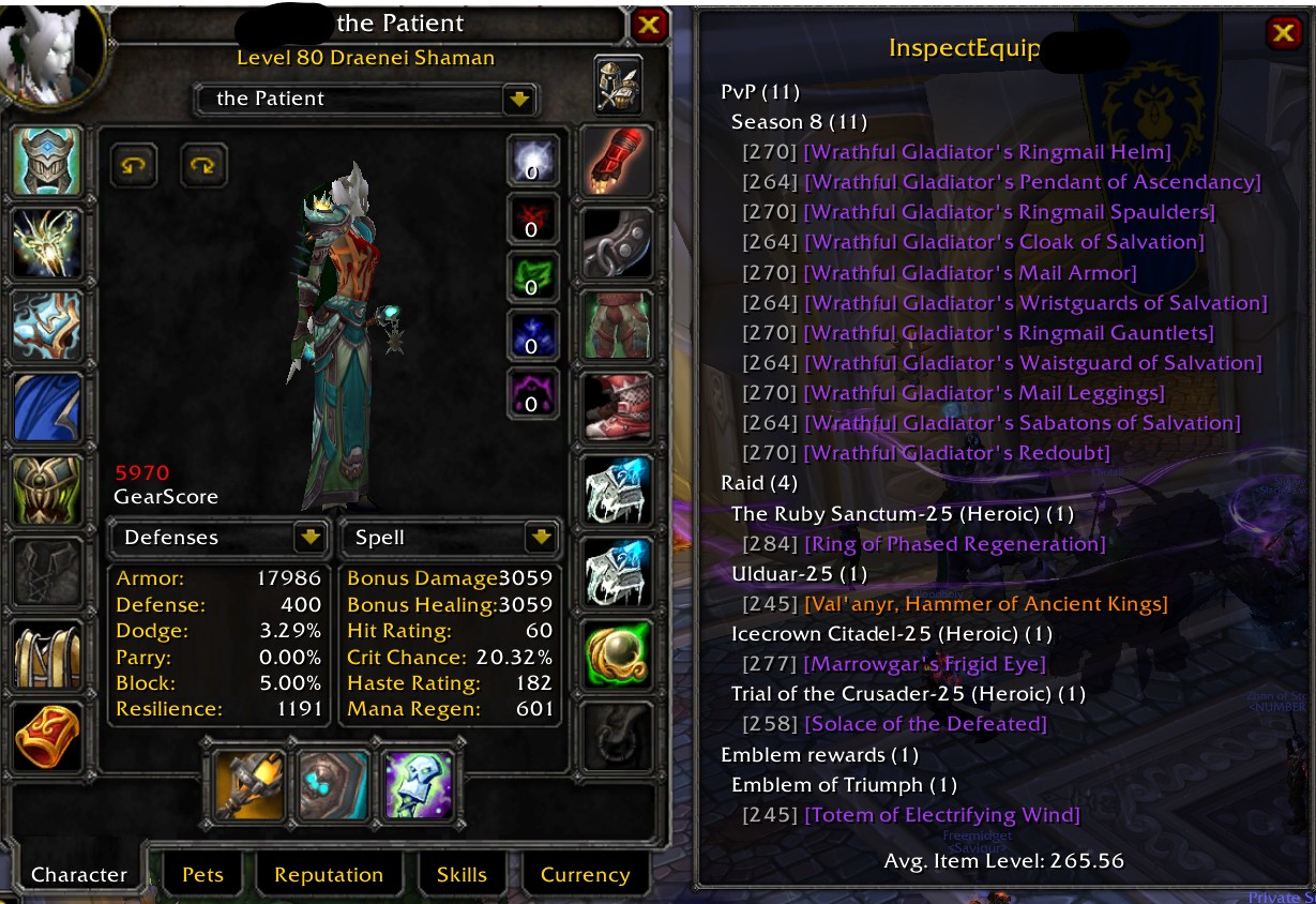 Drenai shaman BIS PvP + Val'anyr | Elkido Wow Accounts Shop